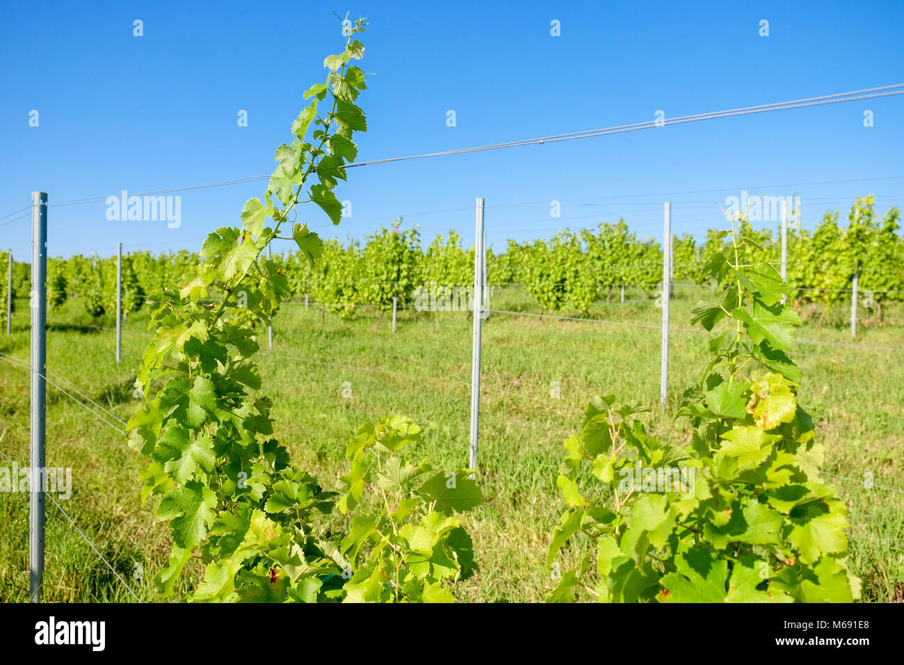 Regions of europe hi-res stock photography and images - Alamy