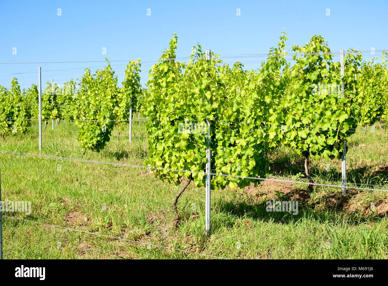 Regions of europe hi-res stock photography and images - Alamy