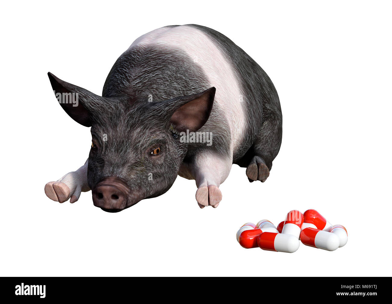 3D rendering of a dark pig looking at pills isolated on white ...
