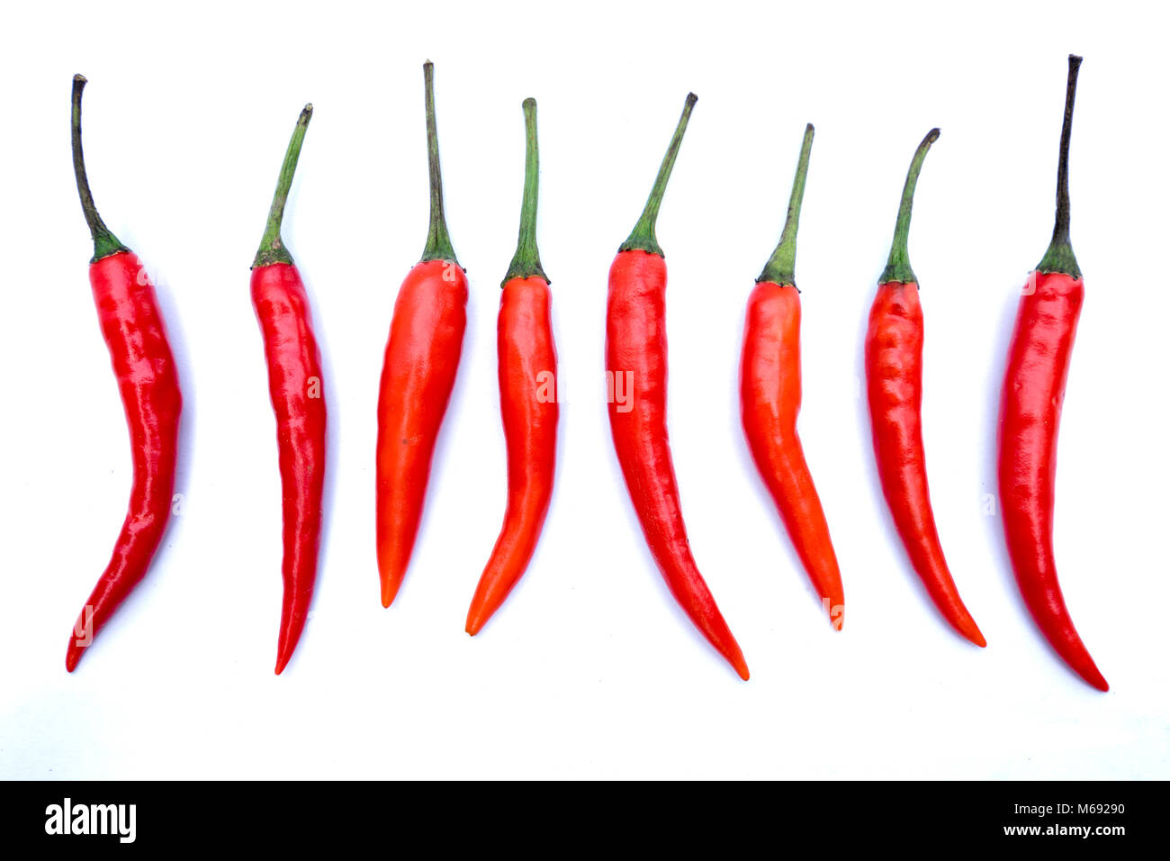 Top view of line composition chilli red peppers isolated on white ...