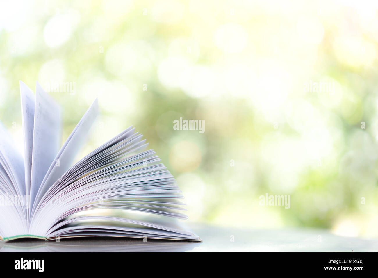 Open book on wood planks over abstract light background Stock Photo - Alamy