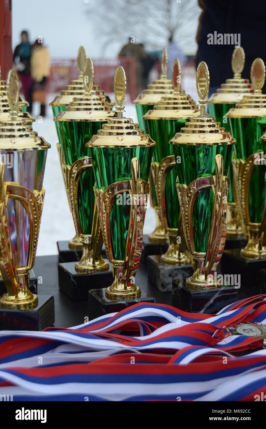 Kovrov, Russia. 27 February 2016. Winter karting competitions in the ...