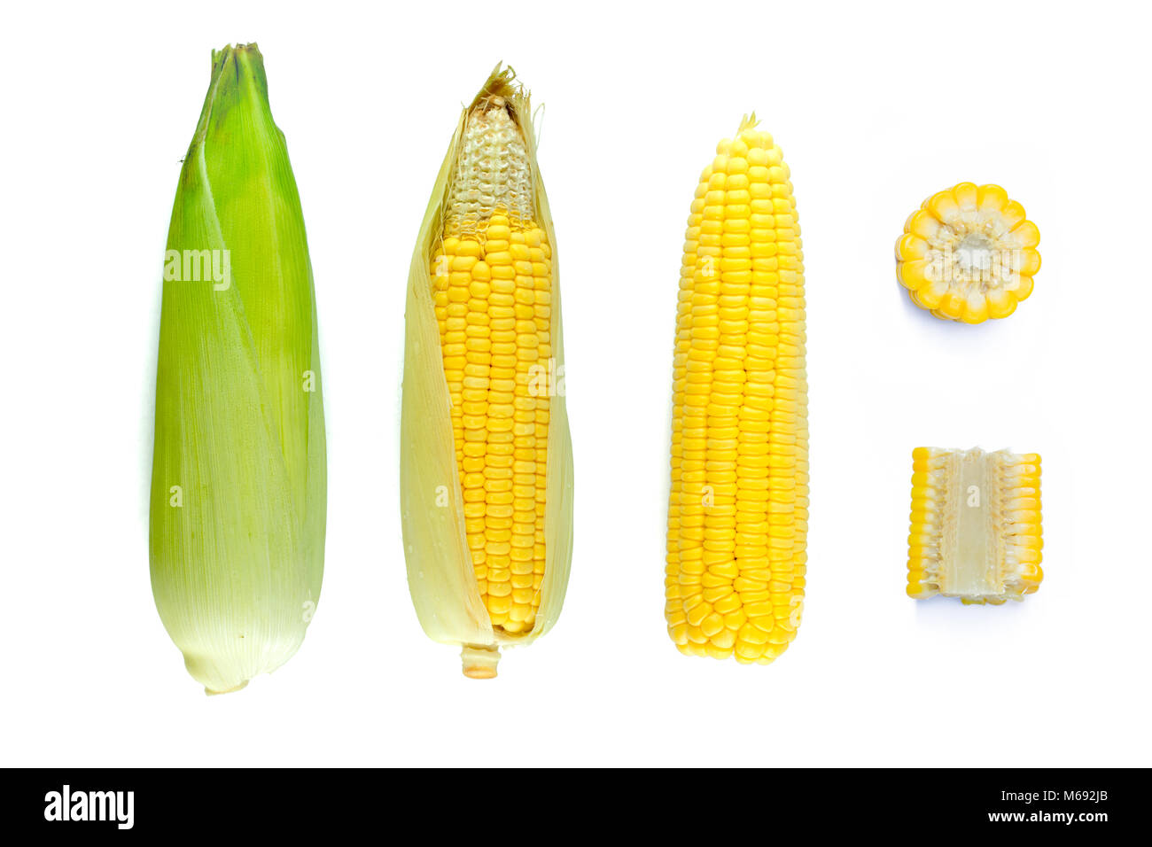 Corn with skin or without skin isolated on white background. A ...