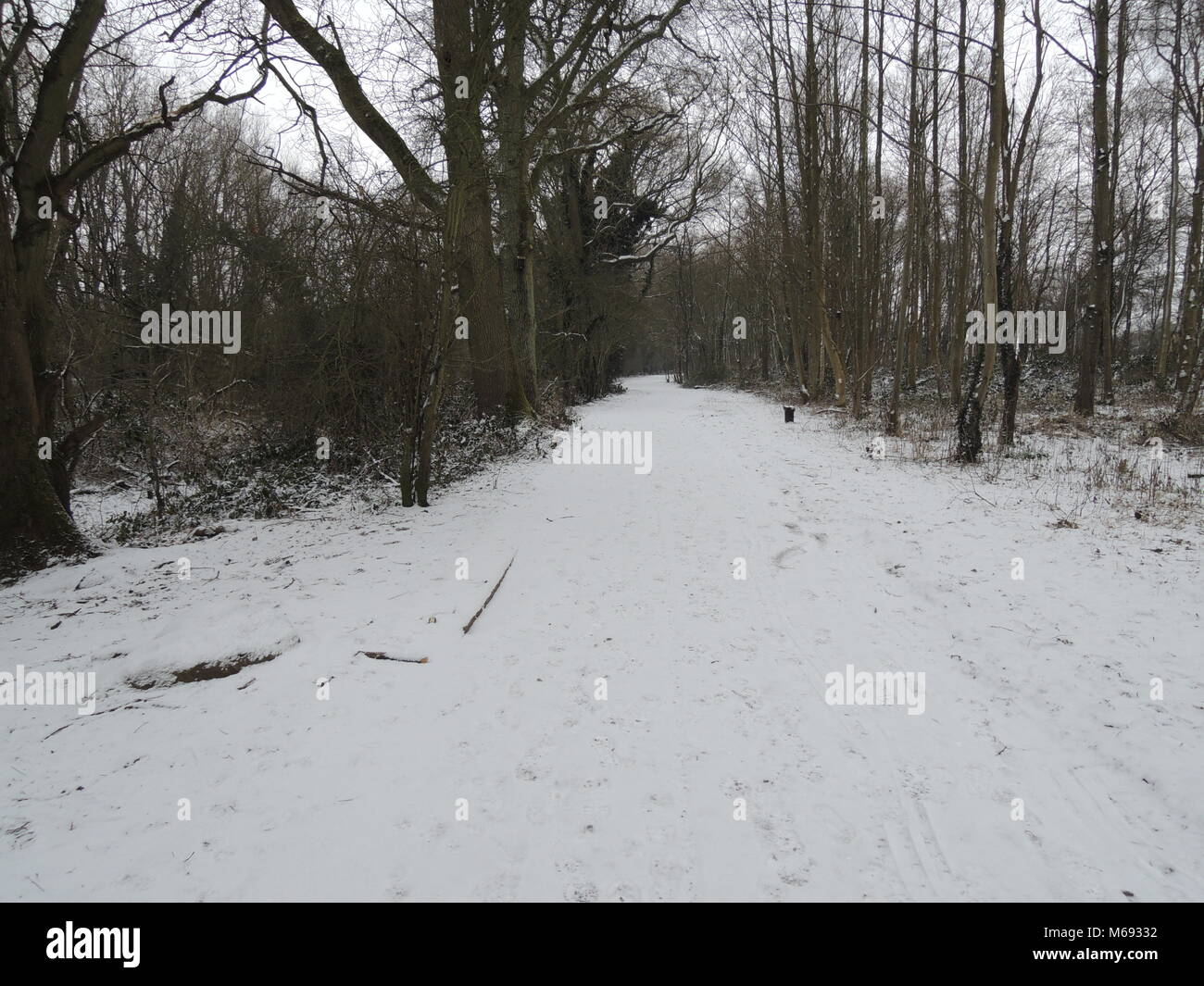 Swindon countryside views in the snow during storm Emma 1st March 2018 ...