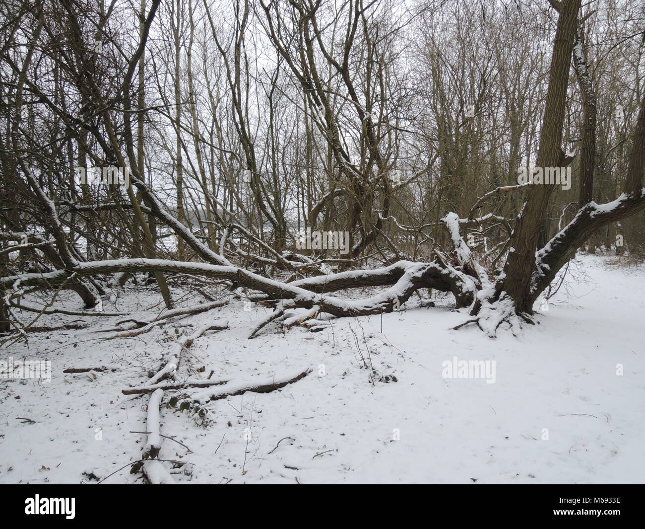 Swindon countryside views in the snow during storm Emma 1st March 2018 ...
