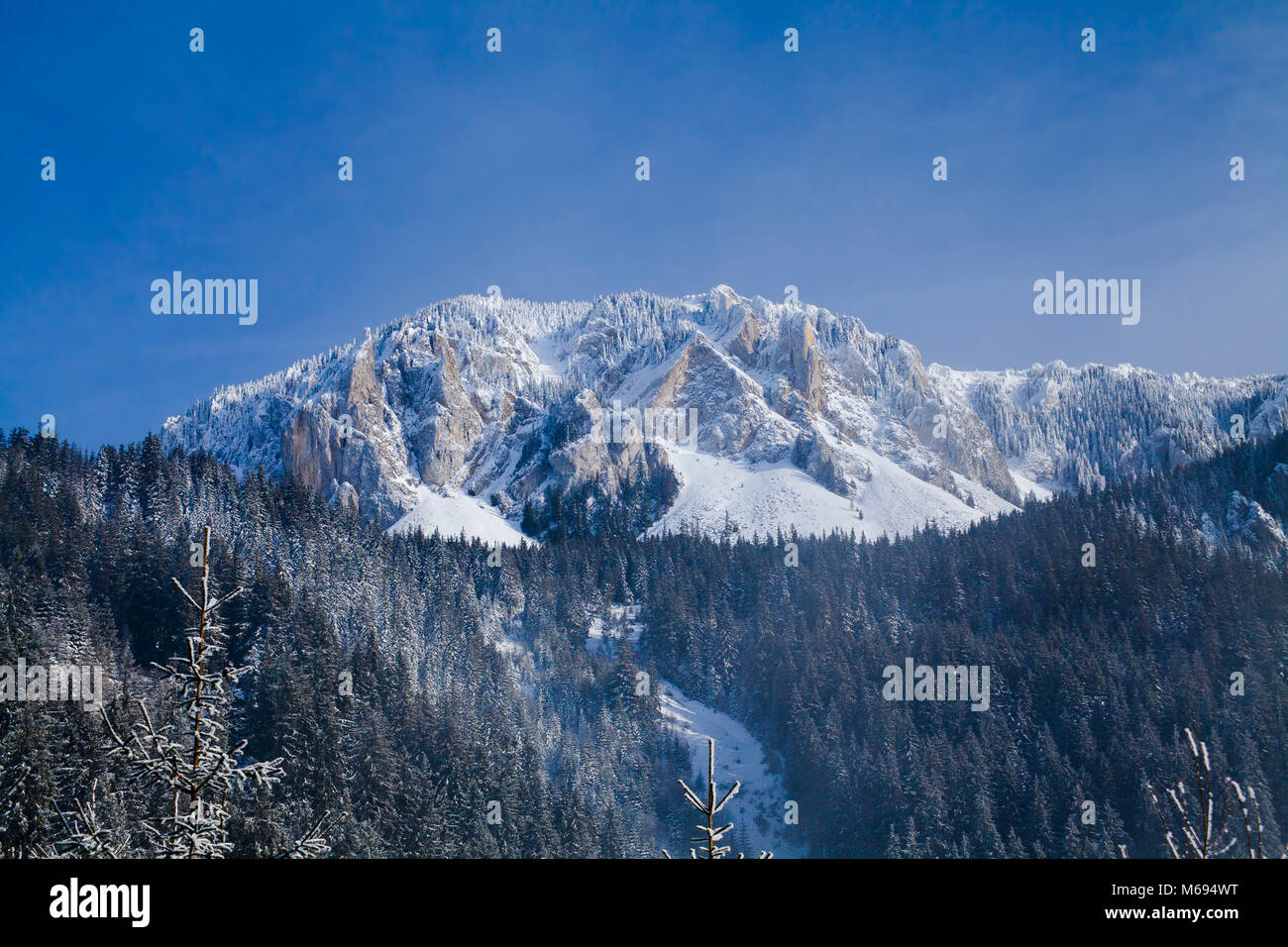 winter scene in Hasmas mountains, Romania Stock Photo - Alamy