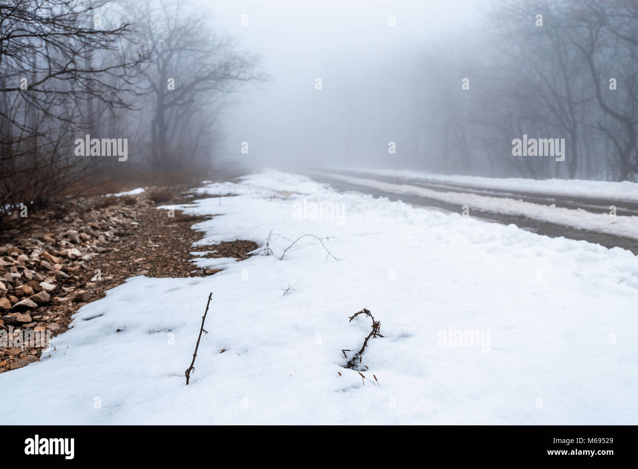 Roadside in the winter forest Stock Photo - Alamy