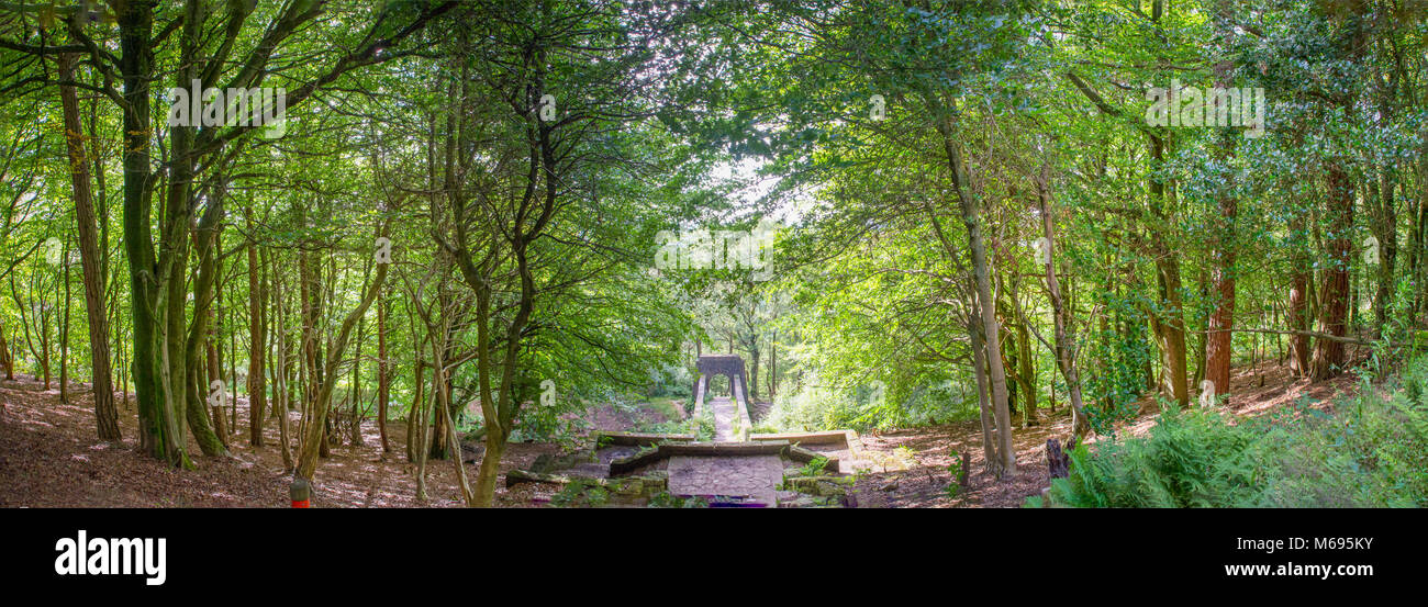 Looking down through the dense, green trees towards the bridge in the ...