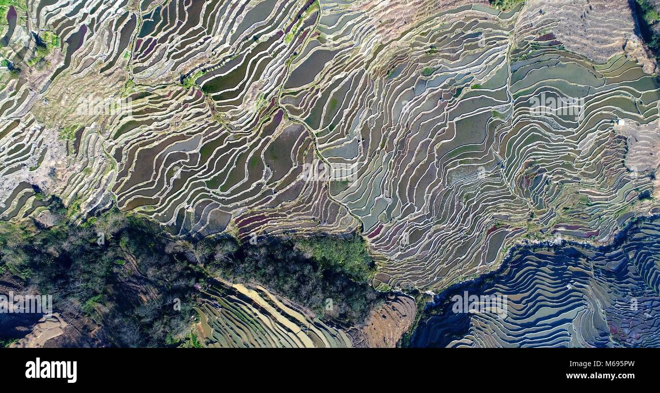 Aerial view on world's most spectacular rice fields, the Yuanyang Hani ...