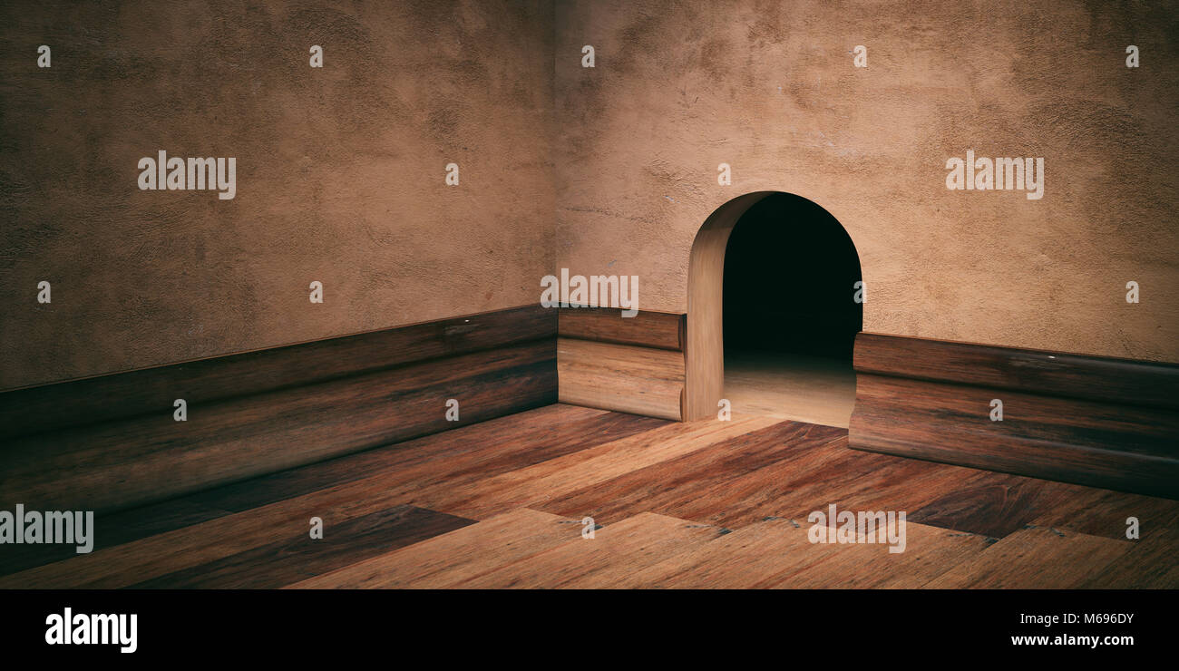 Mouse house hole on brown plastered wall, wooden floor and skirting ...