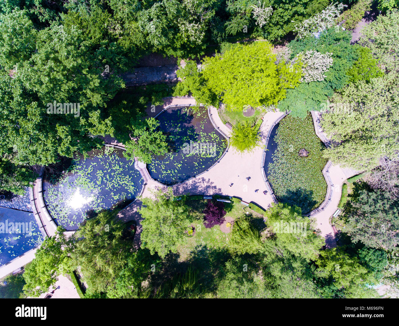 Waterlilies Lake, Felix Baths - Baile Felix, Bihor, Romania Stock Photo ...