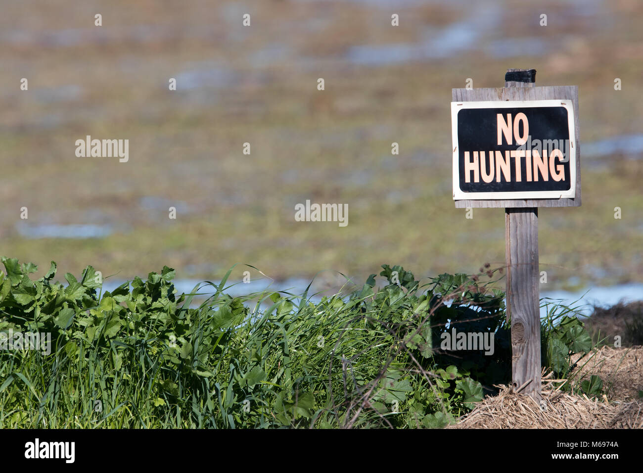 Shooting hunting prohibited sign hi-res stock photography and images ...