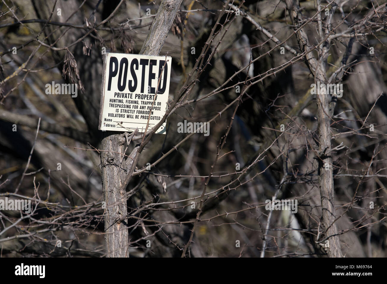 Shooting Hunting Prohibited Sign Stock Photos & Shooting Hunting ...