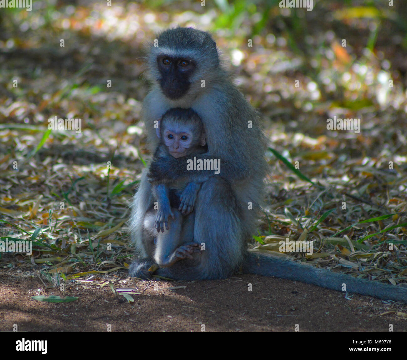 Getting to accomodation hi-res stock photography and images - Alamy