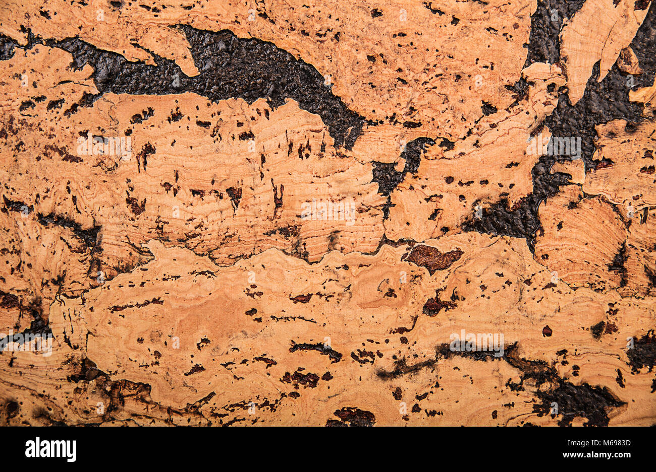 Texture Detail of Surface Cork Board Wood Background Stock Photo - Alamy