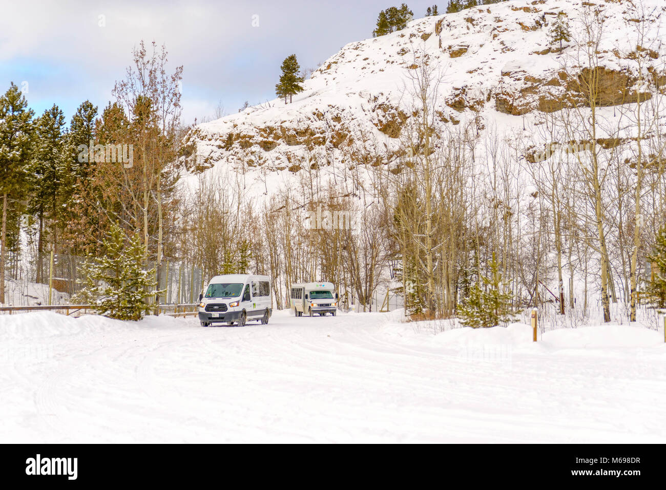 Yukon Wildlife Preserve, Yukon Territory, Canada Stock Photo - Alamy