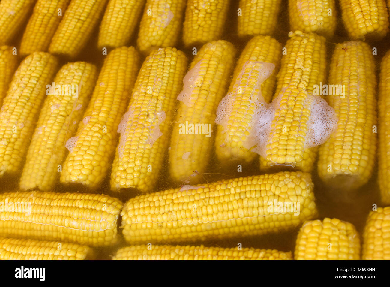 Cooked corncobs in hot water Stock Photo - Alamy