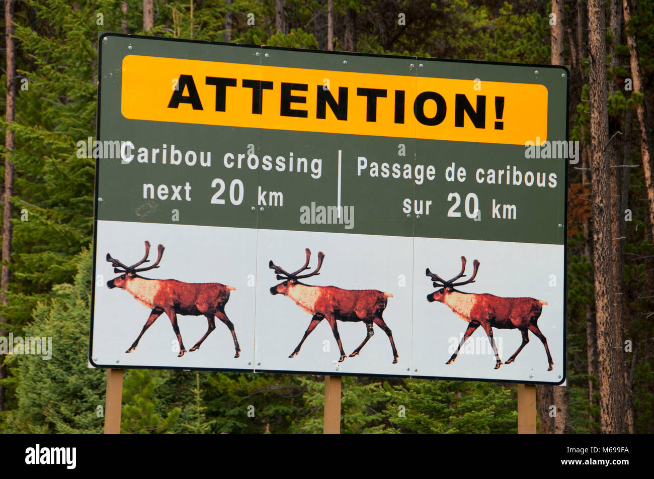 Caribou crossing sign, Jasper National Park, Alberta, Canada Stock ...