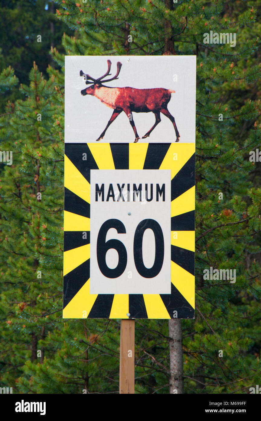Caribou crossing sign hi-res stock photography and images - Alamy