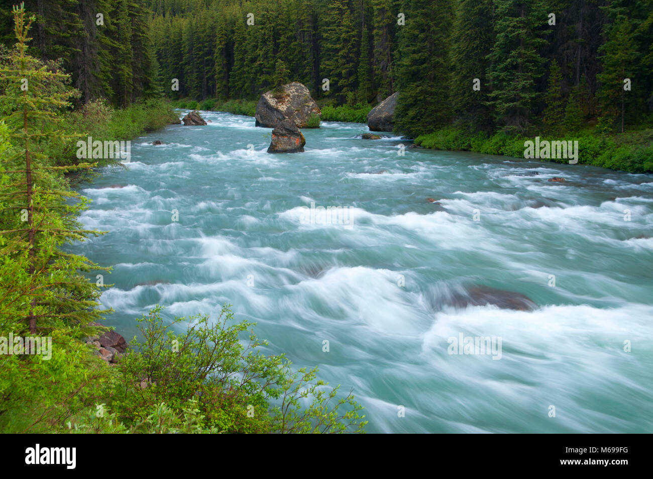 Maligne River, Jasper National Park, Alberta, Canada Stock Photo - Alamy