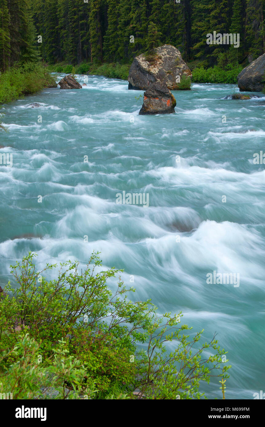 Maligne River, Jasper National Park, Alberta, Canada Stock Photo - Alamy