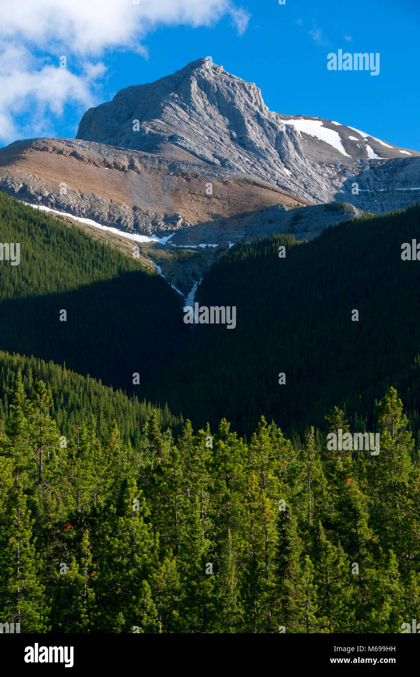 Miette range hi-res stock photography and images - Alamy