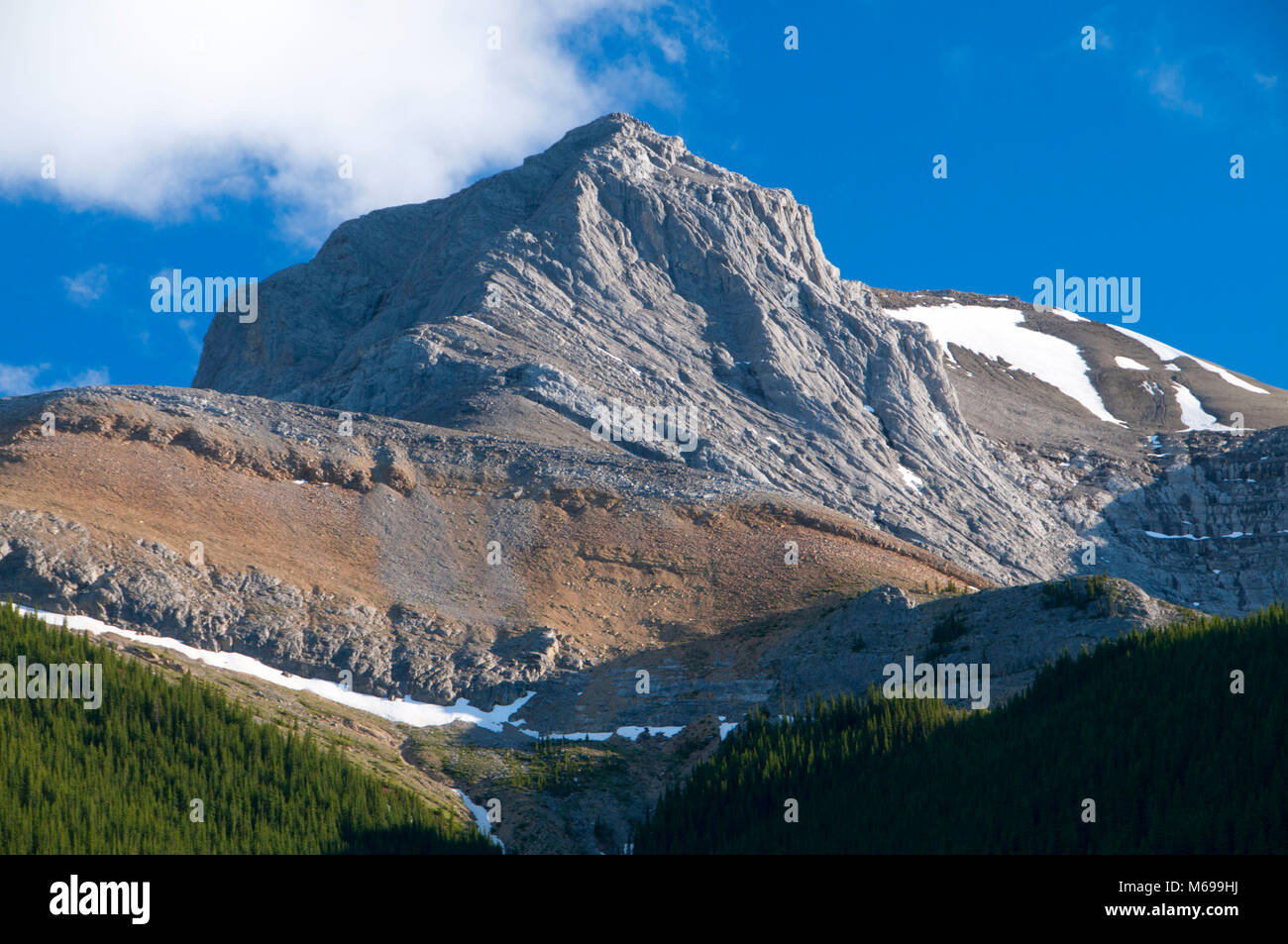 Miette range hi-res stock photography and images - Alamy