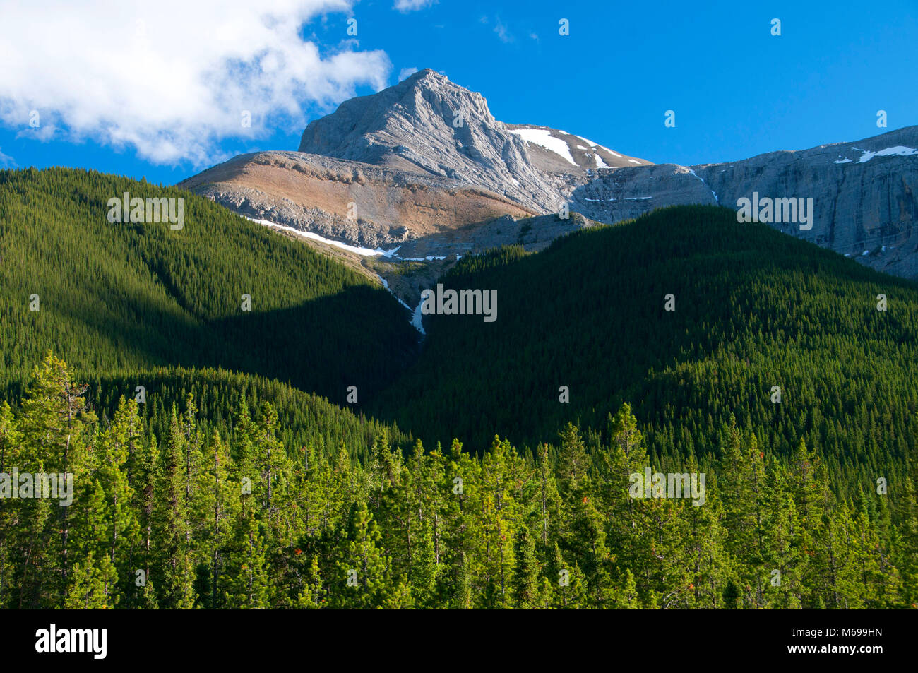 Miette range jasper hi-res stock photography and images - Alamy