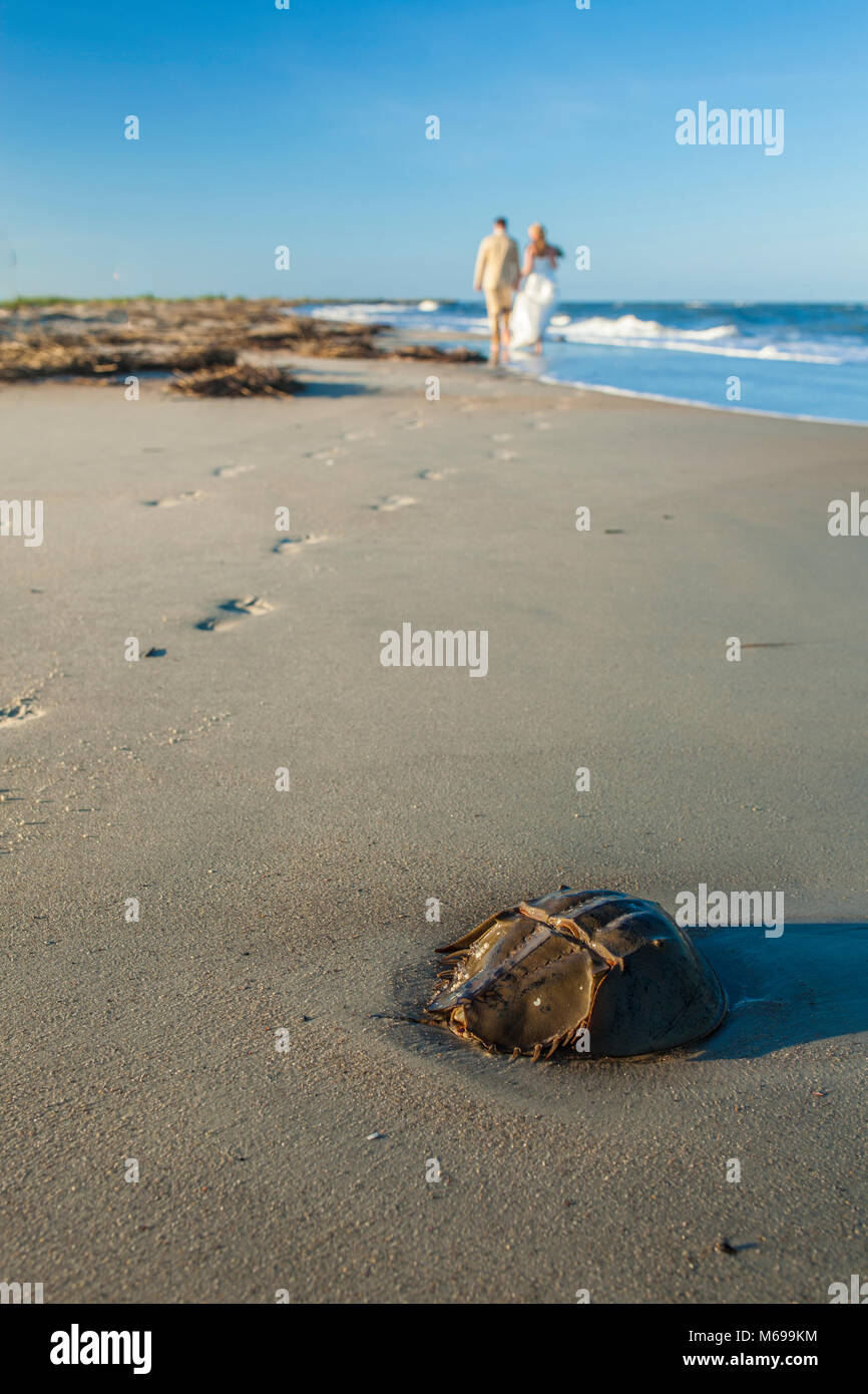 People walking away from camera hi-res stock photography and images - Alamy