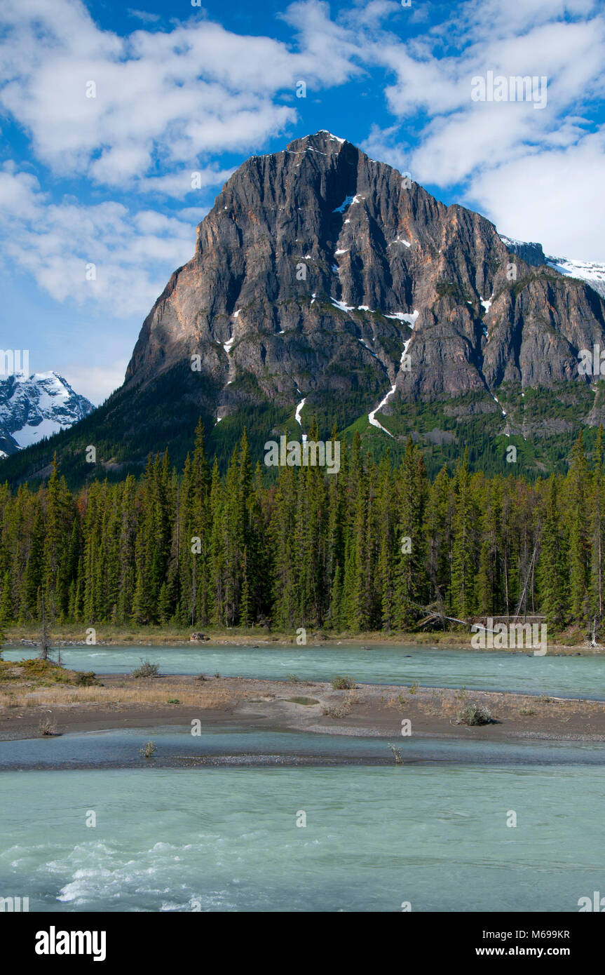 Athabasca River to Mount Fryatt, Jasper National Park, Alberta, Canada ...