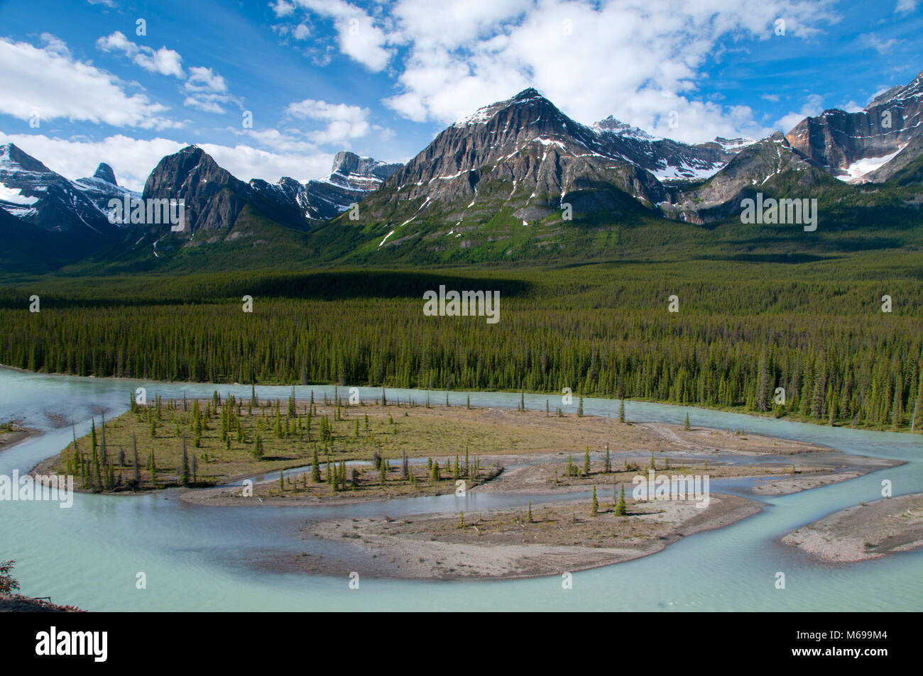 Athabasca River to Mount Fryatt, Jasper National Park, Alberta, Canada ...