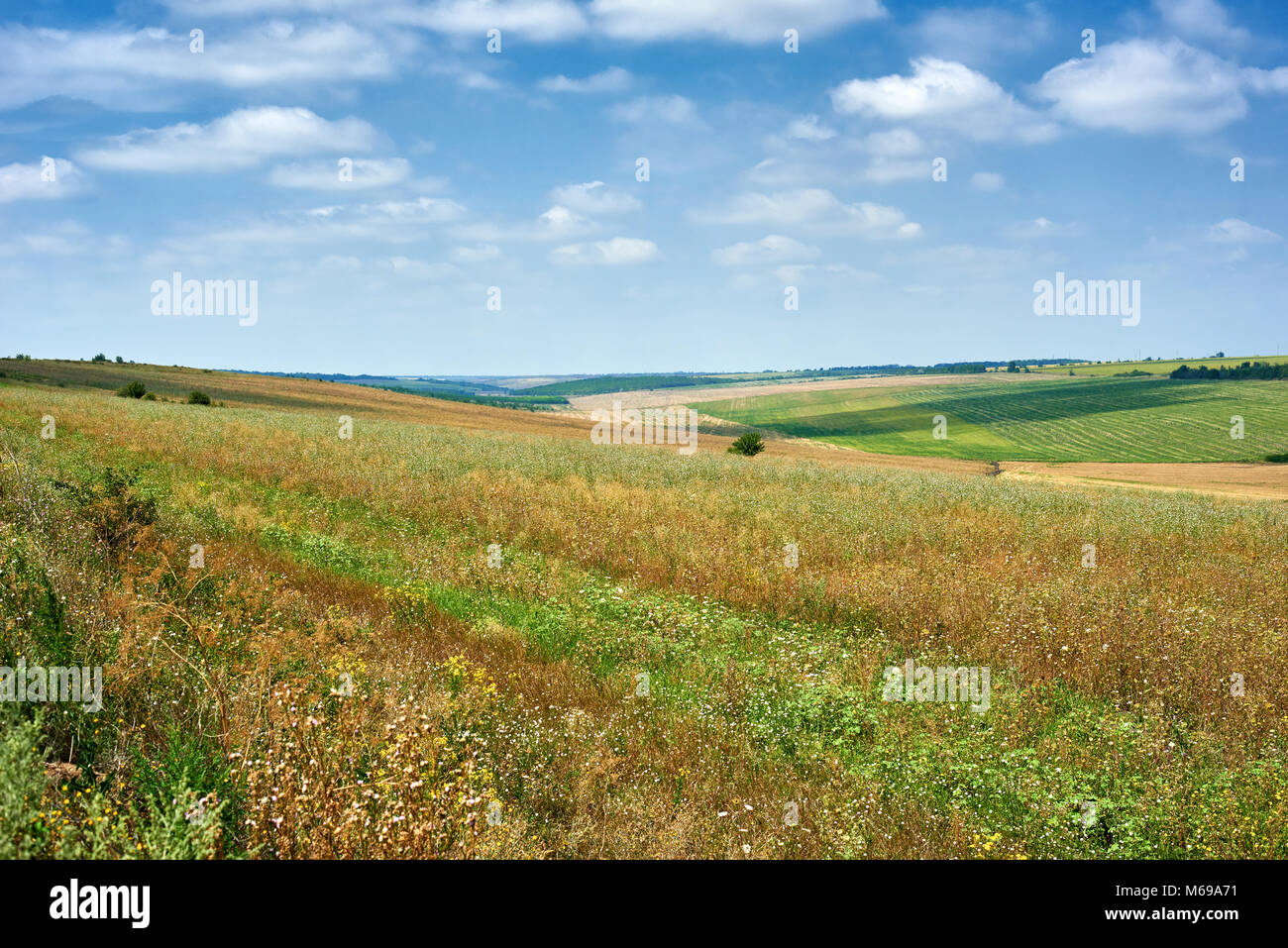 beautiful spring landscape, green field and bright cloudy sky Stock ...