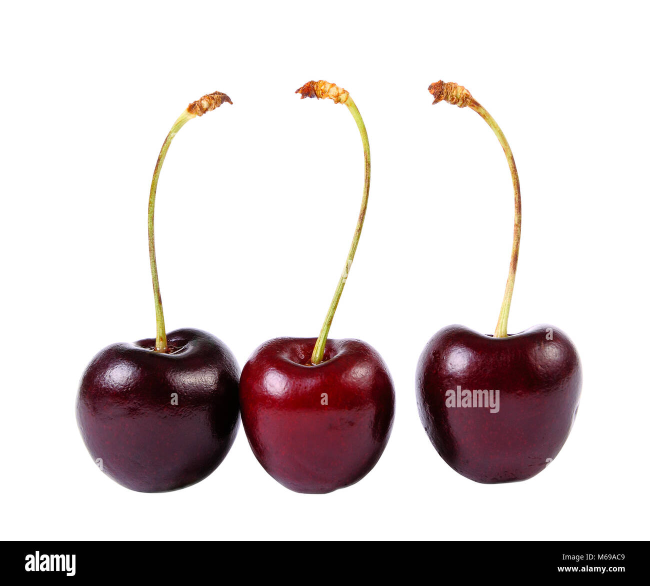 Three sweet cherries isolated on white Stock Photo - Alamy