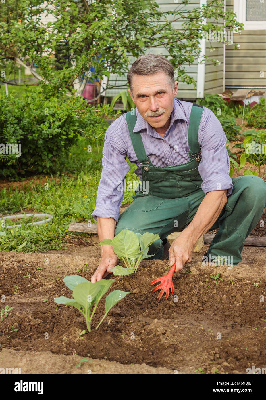 Spud farmer hi-res stock photography and images - Alamy
