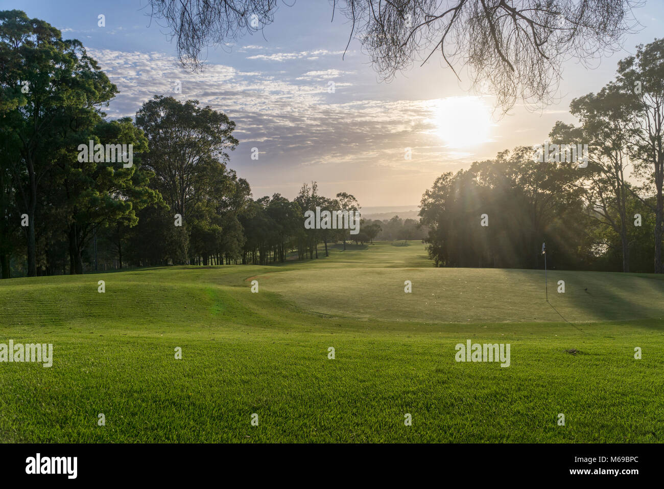 Green grass court hi-res stock photography and images - Alamy