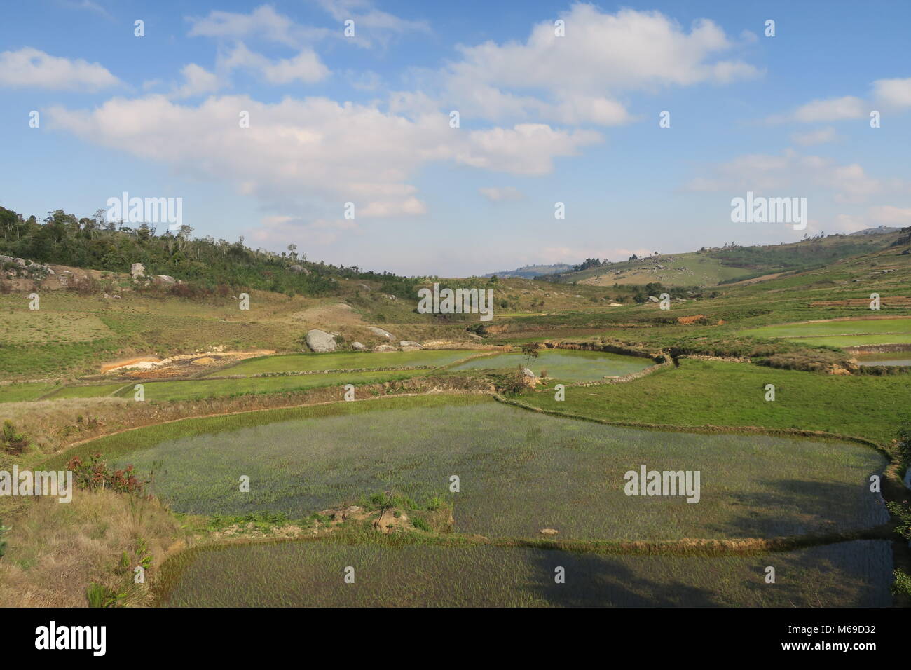 Colorful nature of Madagascar island Stock Photo - Alamy