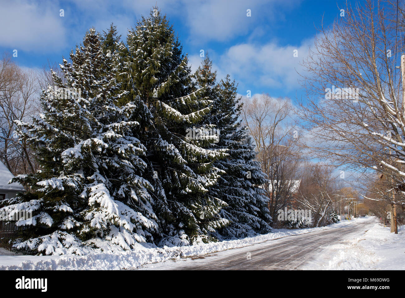 A street scene in Niagara on the Lake Ontario after a fresh fall of ...