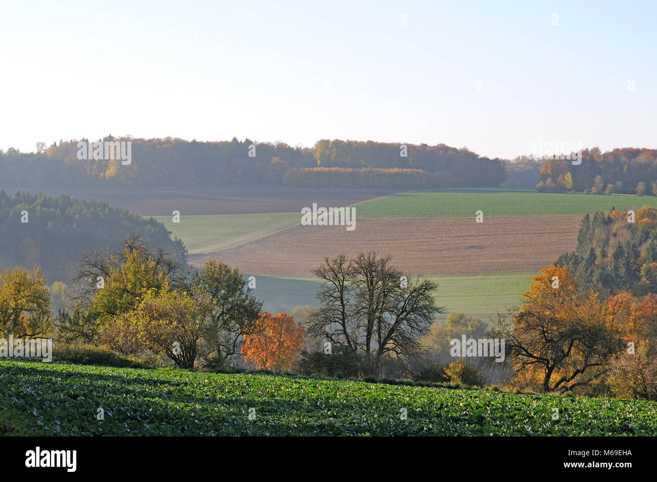rural landscape in autumn Stock Photo - Alamy