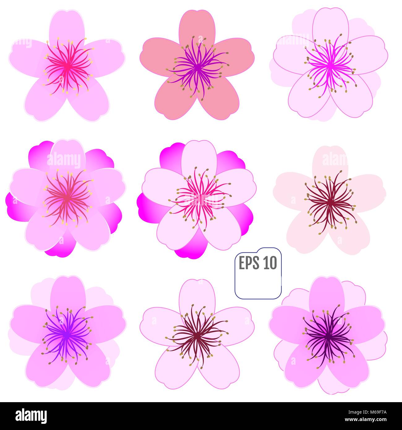 Cherry blossom icon Stock Vector Images - Alamy