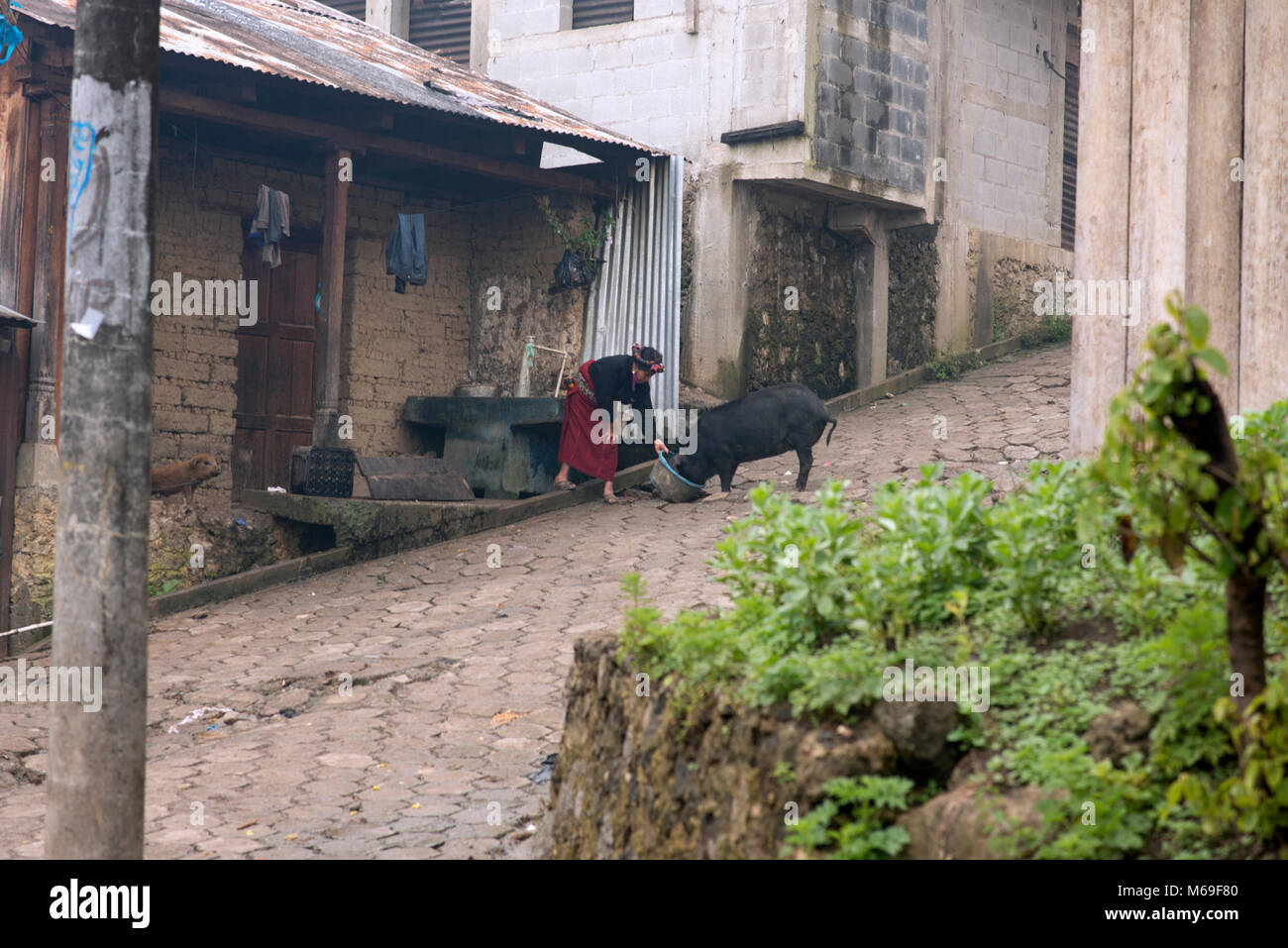 Ixil hi-res stock photography and images - Alamy