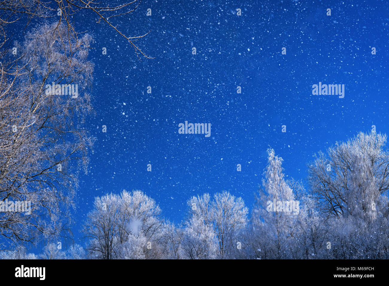 Falling stars on night blue hi-res stock photography and images - Alamy