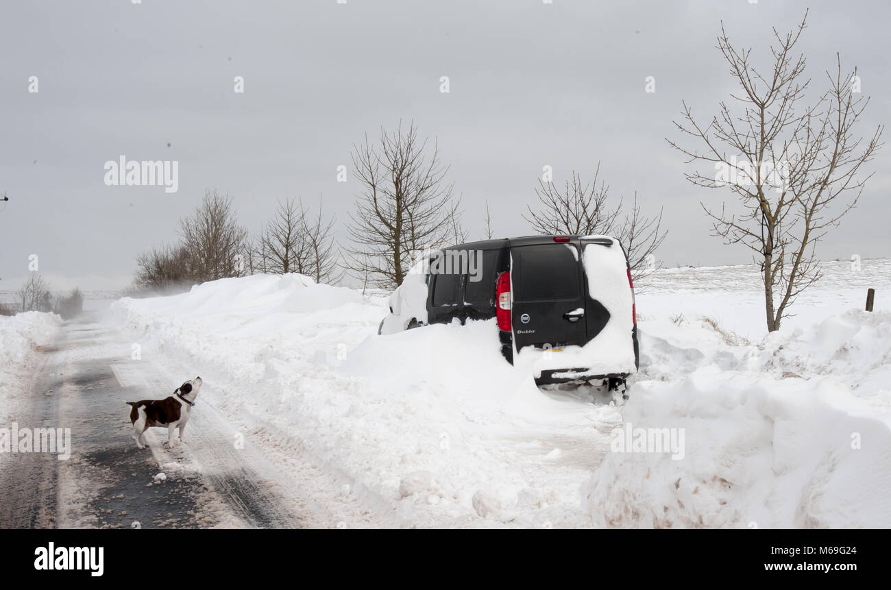 Stuck piles hi-res stock photography and images - Alamy
