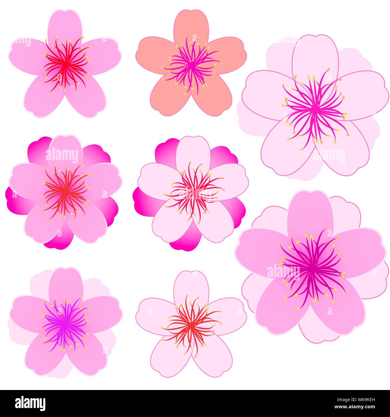 Cherry blossom icon set. Modern Vector illustration Stock Vector Image ... Cherry blossom icon set. Modern Vector illustration Stock Vector Image ...