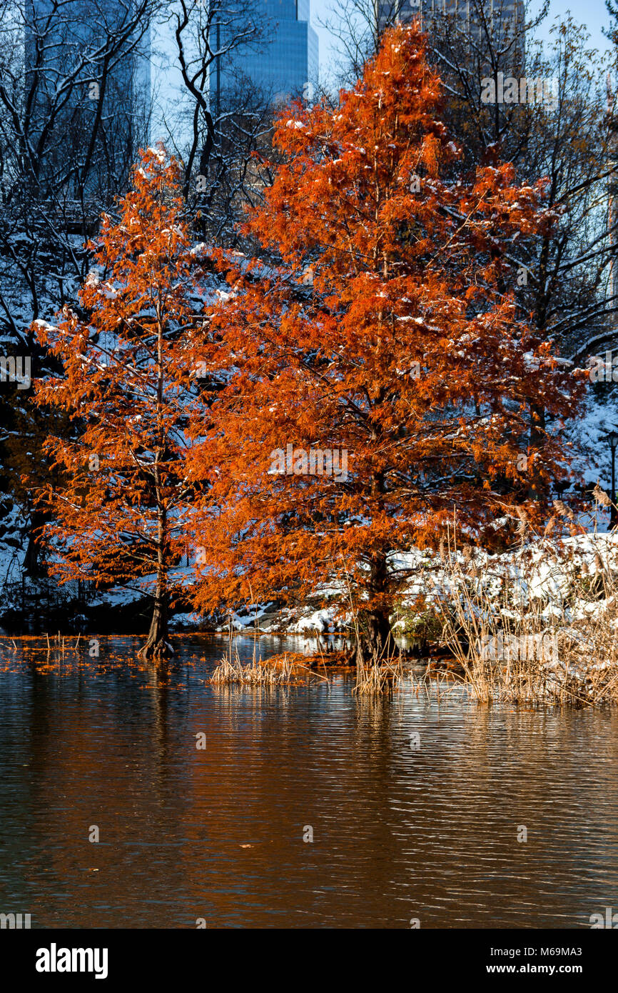 Color in the park Stock Photo - Alamy