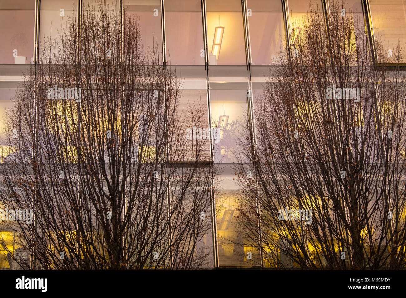 Campus Biotech, scientific center of global research in the field of ...