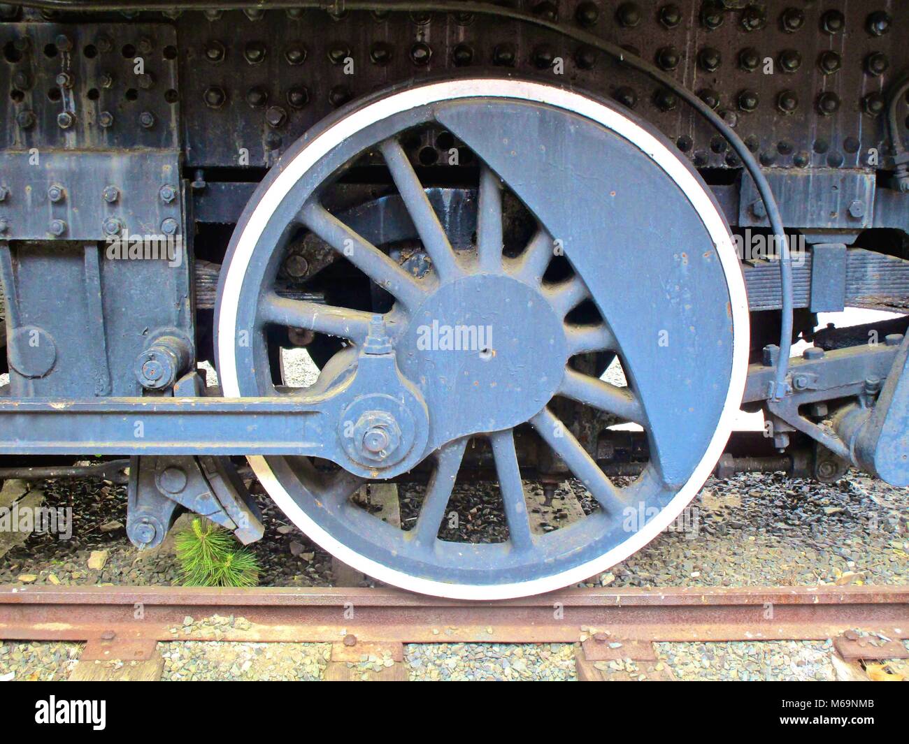 Wheel of a locomotive in blue with bright white trim Stock Photo - Alamy