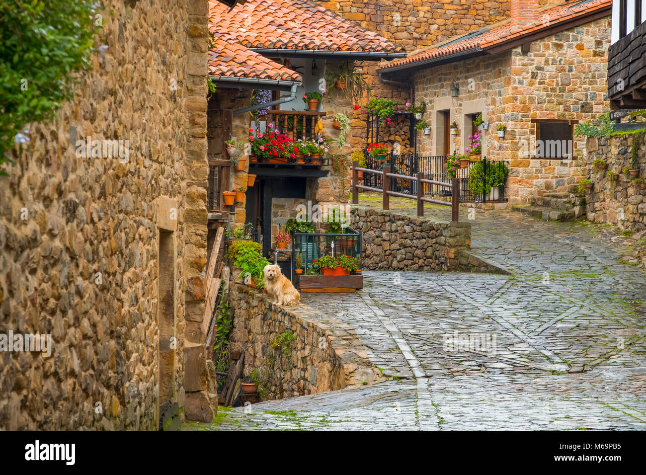 Typical stone house with flowers. Rural Village of Barcena Mayor Los ...