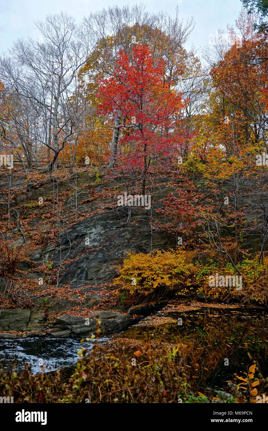 Outdoor city rivers and landmarks in the city center hi-res stock ...