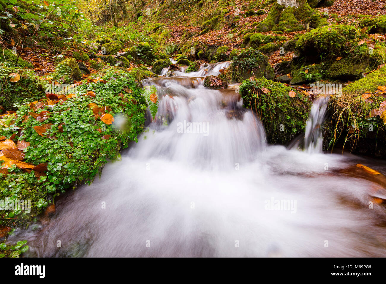 Nansa river hi-res stock photography and images - Alamy
