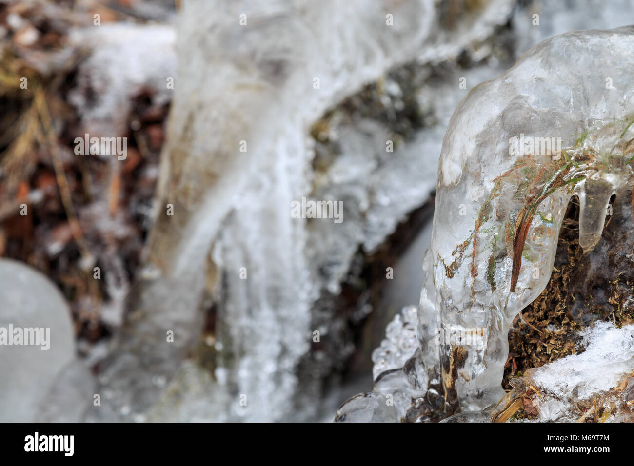 Ice on grass hi-res stock photography and images - Alamy